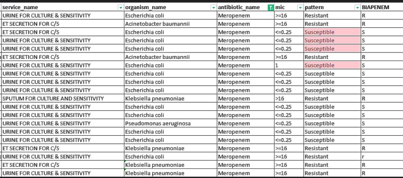 Comparative In Vitro Analysis of Meropenem Vs Biapenem - CCEM Journal